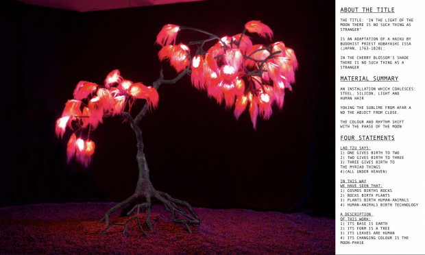 Cornucopia Magazine Jake Michael Singer’s Ten Thousand Things