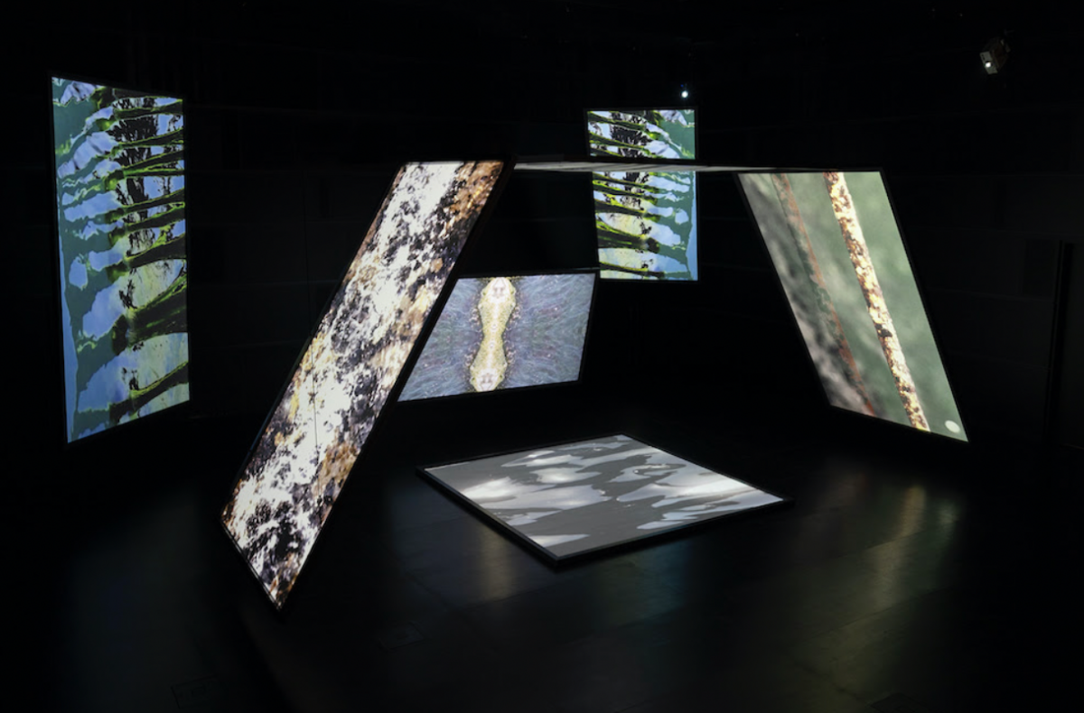 Cornucopia Magazine Music and Sound in Contemporary Art