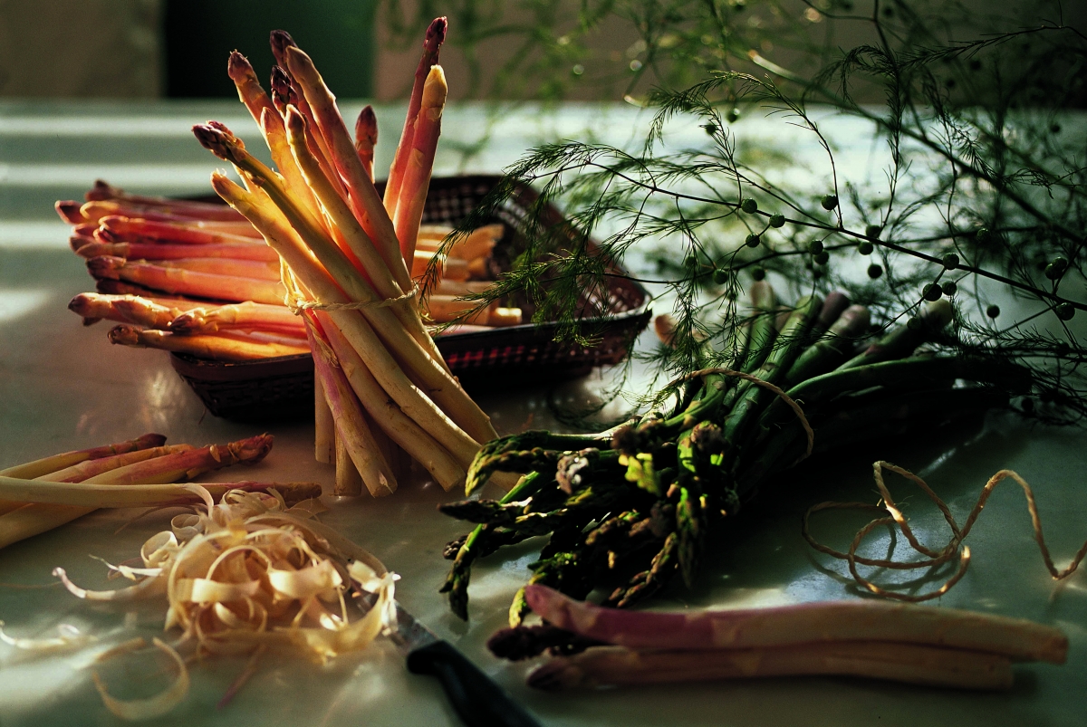 Cornucopia Magazine Shafts of Light